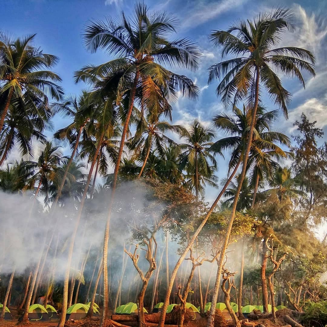 Camp Sandrush | Palghar Beach Camping - Backpack Stays
