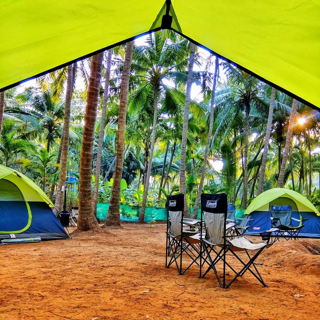 Camp Sandrush | Palghar Beach Camping - Backpack Stays