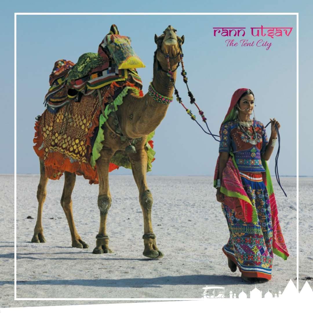 Rann Of Kutch Tour Package | 3 Nights 4 Days - Backpack Stays